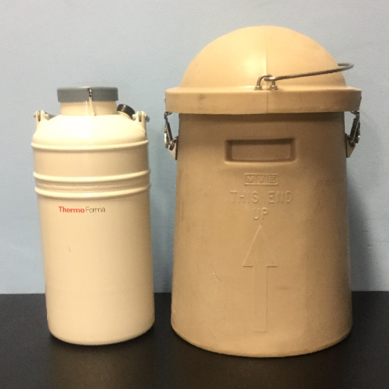 ALT ITEM: 23947 | 8040 CMD Dry Shipper with a MVE Hard Shell Shipping ...