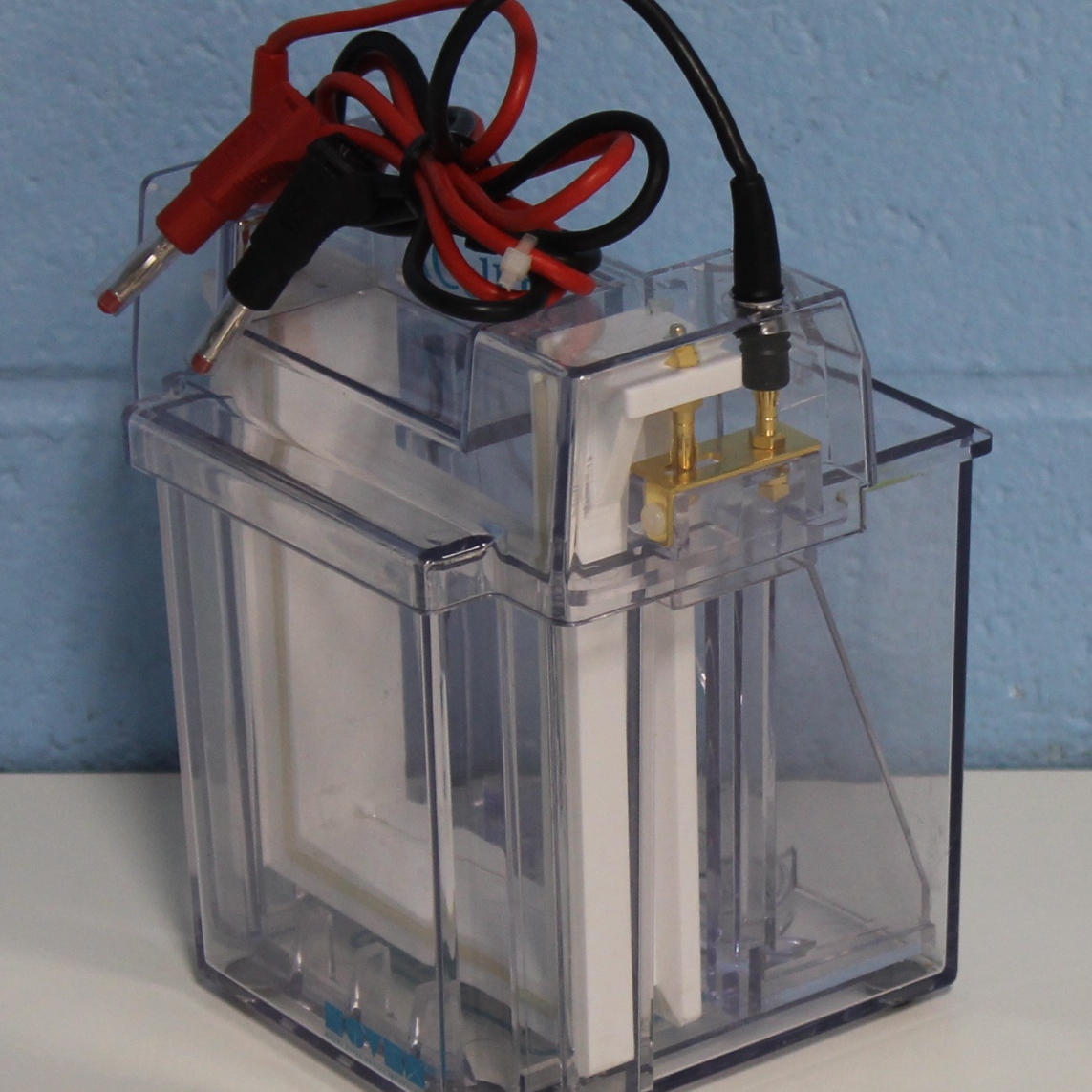 ALT ITEM: 22030 | XCELL II Mini Cell Electrophoresis System EI9001
