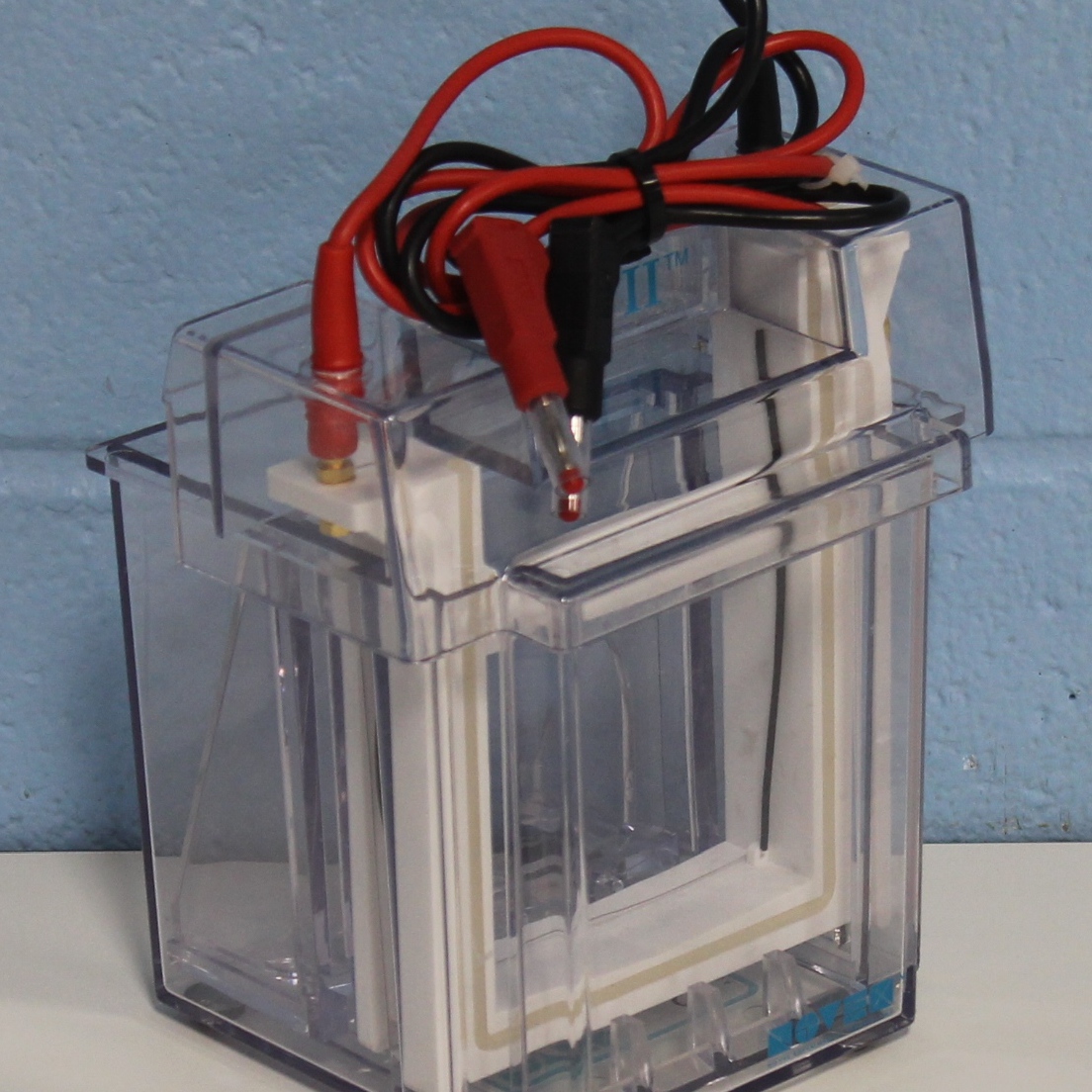 ALT ITEM: 22030 | XCELL II Mini Cell Electrophoresis System EI9001